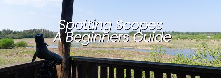 Spotting Scopes - A Beginners Guide – All-Star Telescope Canada